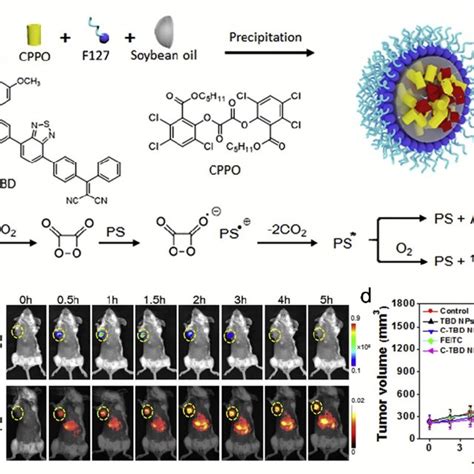 Schematic Illustration Of Design Principles Of Activatable Molecular