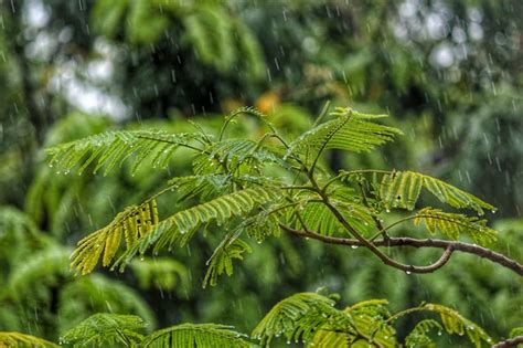 Let It Rain Let It Rain Open The Floodgates Of Heaven Let It Rain