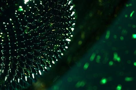 Fosdas Welcomes Morningstar Sustainalytics As A New Member Future Of Sustainable Data