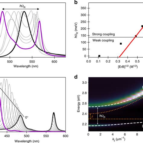 Characterization Of Hybrid Lightmatter States A Absorbance Spectra Of