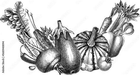 Hand Drawn Vegetable Composition In Vintage Style Food Plants