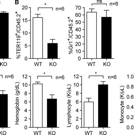 Erythropoiesis Defects In Senp1 Ko Fetal Liver Confirmed By Bmt A