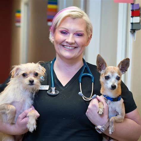 Veterinarian Staff All Creatures Animal Clinic Florida