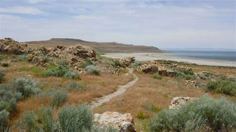 Treasure Hunt In Utah Promises 25k For The Winner Here Are The Clues