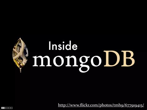 inside mongodb the internals of an open source database pdf