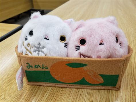 【開催報告】1月心屋塾福岡オープンカウンセリングを開催しました 120％本気で自分の人生を生きたいあなたへ。【女性限定】アダルトチルドレン