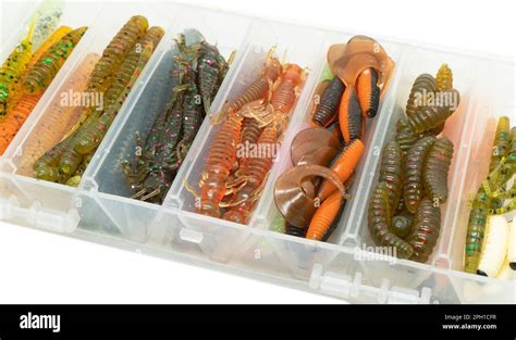 Jig Silicone Fishing Lures In Plastic Lure Box Silicone Fishing Baits