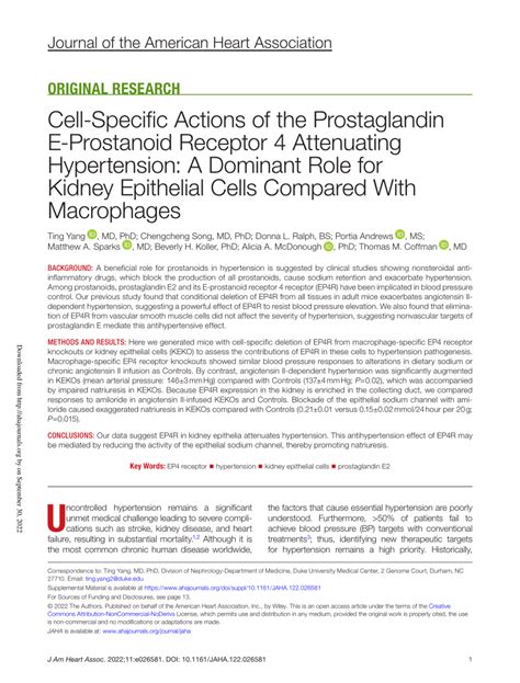 Pdf Cell‐specific Actions Of The Prostaglandin E‐prostanoid Receptor