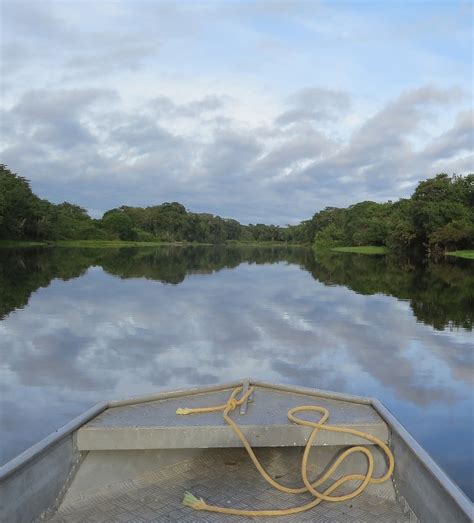 Explorar Petróleo Na Foz Do Amazonas é Agenda Anti Esg Opinião