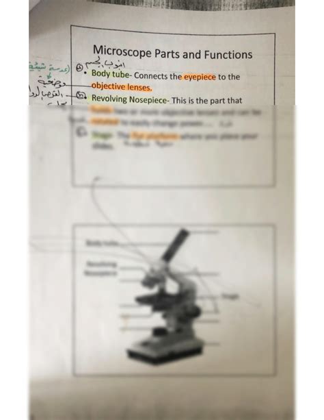 Laboratory Microscope Parts And Functions At Randall Graves Blog