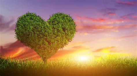 Fonds Decran Levers Et Couchers De Soleil Amour Ciel Arbres Cœur