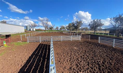 Stockyards And Arenas Finalists Australian Fencing Awards