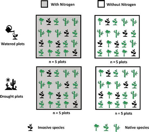 scheme of the experimental design a total of 20 plots were cultivated