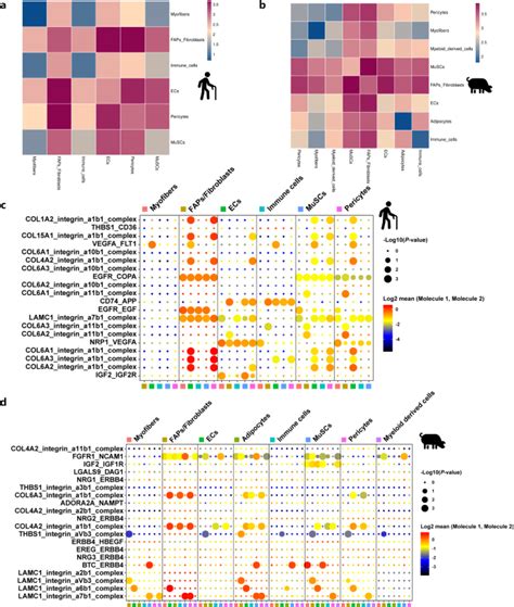 Integrative Cross Species Analysis Reveals Conserved And Unique