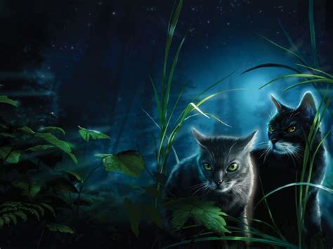 Stonefur And Mistyfoot