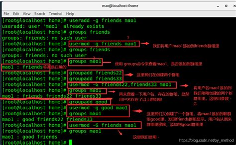 linux 创建用户 ，群组，权限 linux中创建组群和账号 csdn博客