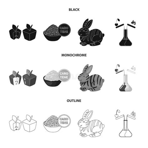 Vector Illustration Of Test And Synthetic Icon Collection Of Test And Laboratory Stock Symbol