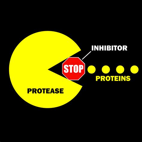 Complete Protease Inhibitor Cocktails And How They Work