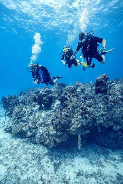 Cozumel 1 Tank Certified Scuba Diving Travel Buddies