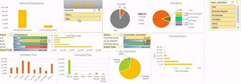 Github Bengoh1project Job This Repository Contains The Sql And Excel Capstone Project For My