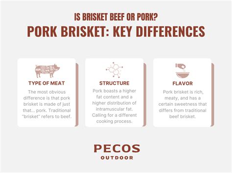 What Is Brisket Pecos Field Notes