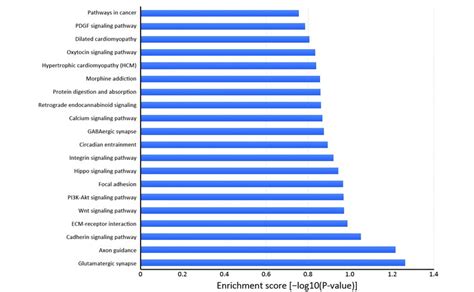 Pathway Enrichment Analysis The Bar Plot Shows The Top 20 Download Scientific Diagram