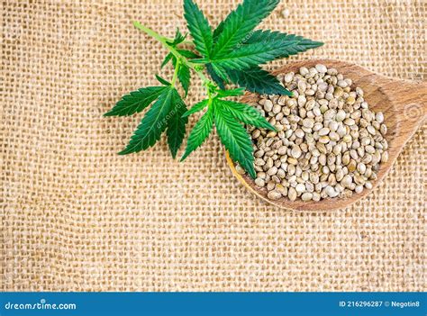 Cannabis Seeds In Wooden Spoon On Hemp Cloth Stock Image Image Of