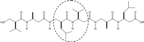 Enhanced Conformational Sampling Using Enveloping Distribution Sampling