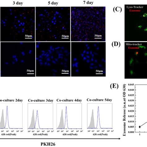 Ge Zhang Medical Doctor Doctor Of Medicine Research Profile