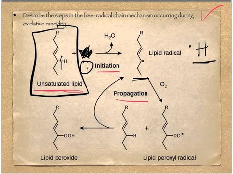 F 7 Oxidative Rancidity Food Chemistry
