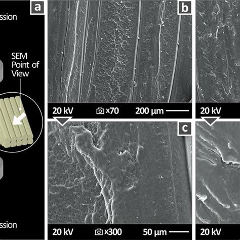A Graphical Representation Of A 3d Printed Sample Compression Test Sem