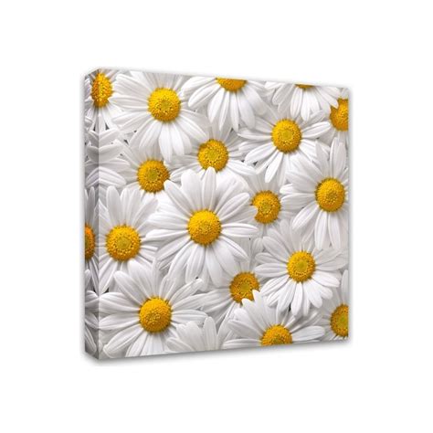 Картина на холсте Симфония Ромашки 40x40 см 1-045 - выгодная цена ...