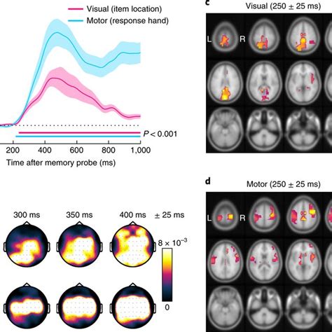 Spectral Signatures Of Visual And Motor Selection During Working Memory