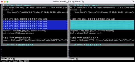 【高效开发工具系列】vimdiff简介与使用 Csdn博客