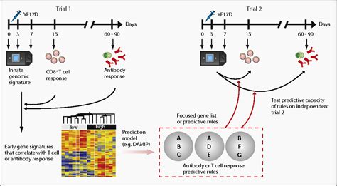 Figure 1 From Systems Vaccinology Probing Humanitys Diverse Immune Systems With Vaccines