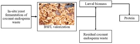Processes Free Full Text In Situ Yeast Fermentation Medium In