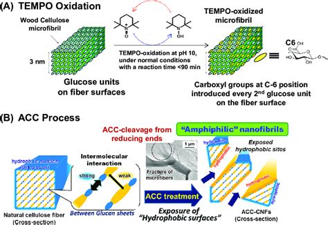 Schematic Diagrams Of A Chemical Characteristics Of Nanocellulose Download Scientific Diagram