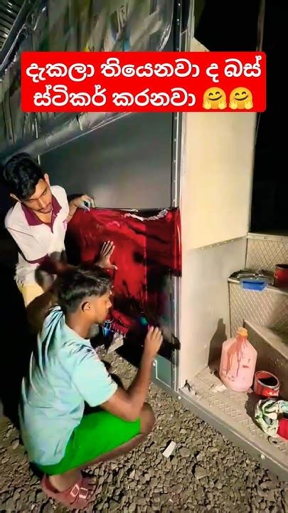 බස් එකක් ස්ටිකර් කරනවා දැකලා තියෙනවා ද 🥰😘😘 Bus Automobile Srilankans Travel Youtube