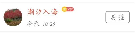 苍兰诀会员加更 综影视云欢游记 话本小说网