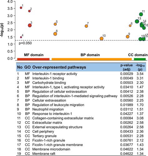 Over Represented Pathways In The Plasma Proteome Of As Patients With Download Scientific