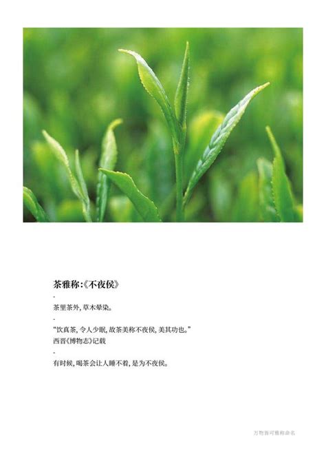 万物皆可雅称命名（下篇）。 知乎