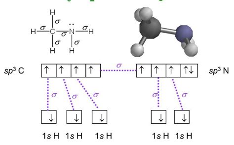 Ch3nh2 Lewis结构，分子几何，杂化和极性 技术科学家万博网页版 万博网页版 万博体育app手机版登录