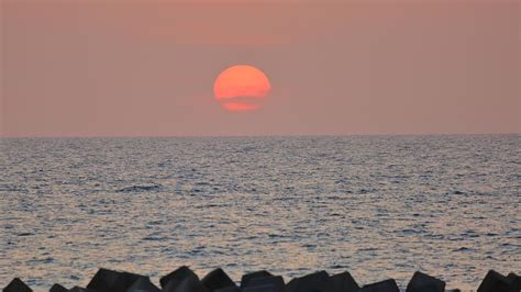 海の夕焼けその2 花と蝶と鳥と歌