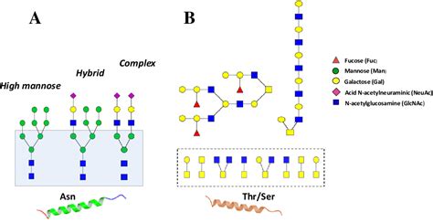 Figure 1 From Separation Methods Hyphenated To Mass Spectrometry For