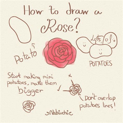 Rose Drawing Tutorial Tumblr