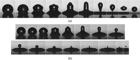 Evolution Of Drop Shapes During The Coalescence Of A 0 65 Cst D ≃ 1 07 Download Scientific