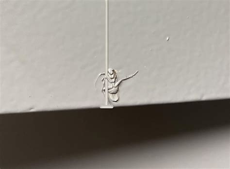 Painted Cockroach Dancing On A Pole Painted Over Cockroach Know