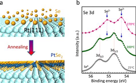 Figure From Electronic Properties Of Graphene Ptse2 50 Off