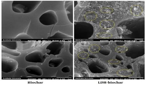 SEM images of biochar (left) and LDH-biochar (right). | Download ...