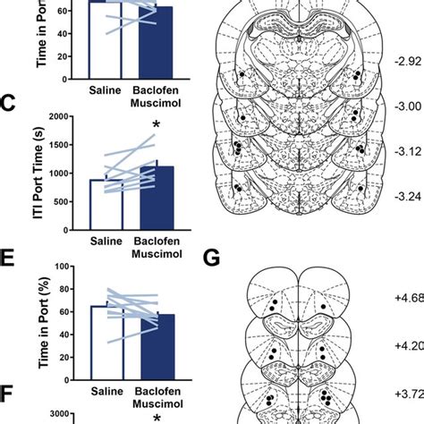 Experimental Design And Histological Verification Of Microinjector Download Scientific Diagram